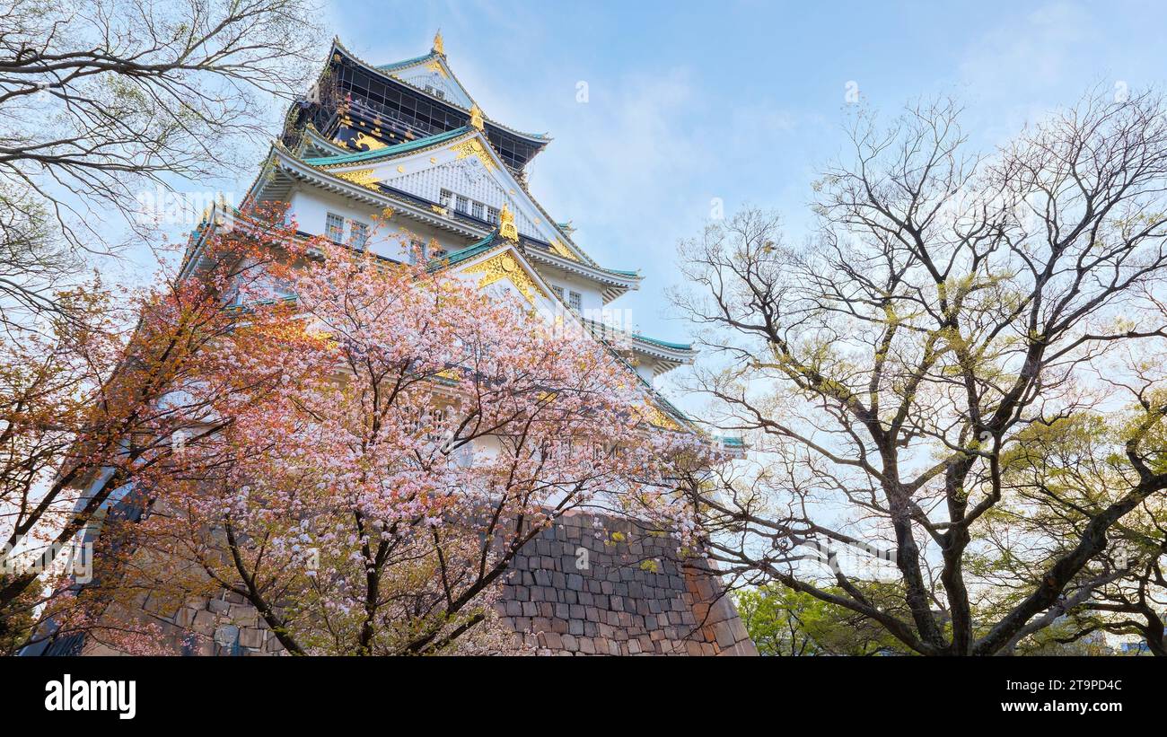 Osaka, Japan - April 4 2023: Osaka Castle dates back to 1583, it's one ...