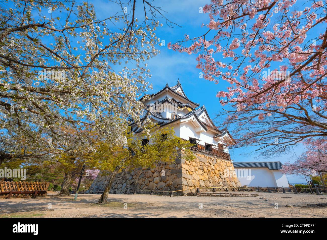 Shiga, Japan - April 3 2023: Hikone Castle completed in 1622, a ...