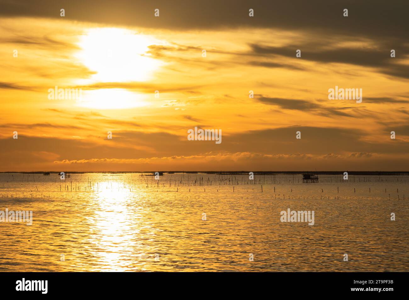 Cockle farming hi-res stock photography and images - Alamy