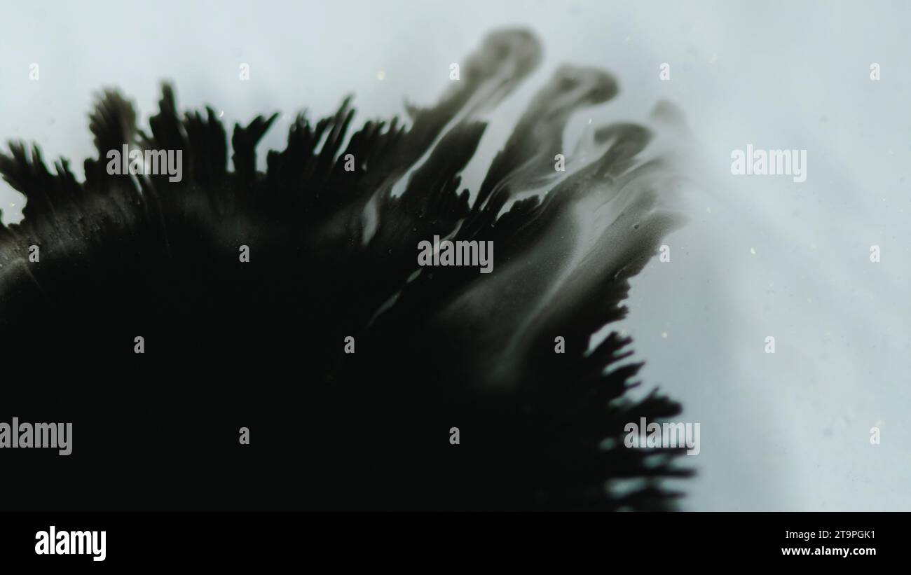 Ink drop paint spatter in water black fluid blot Stock Photo - Alamy