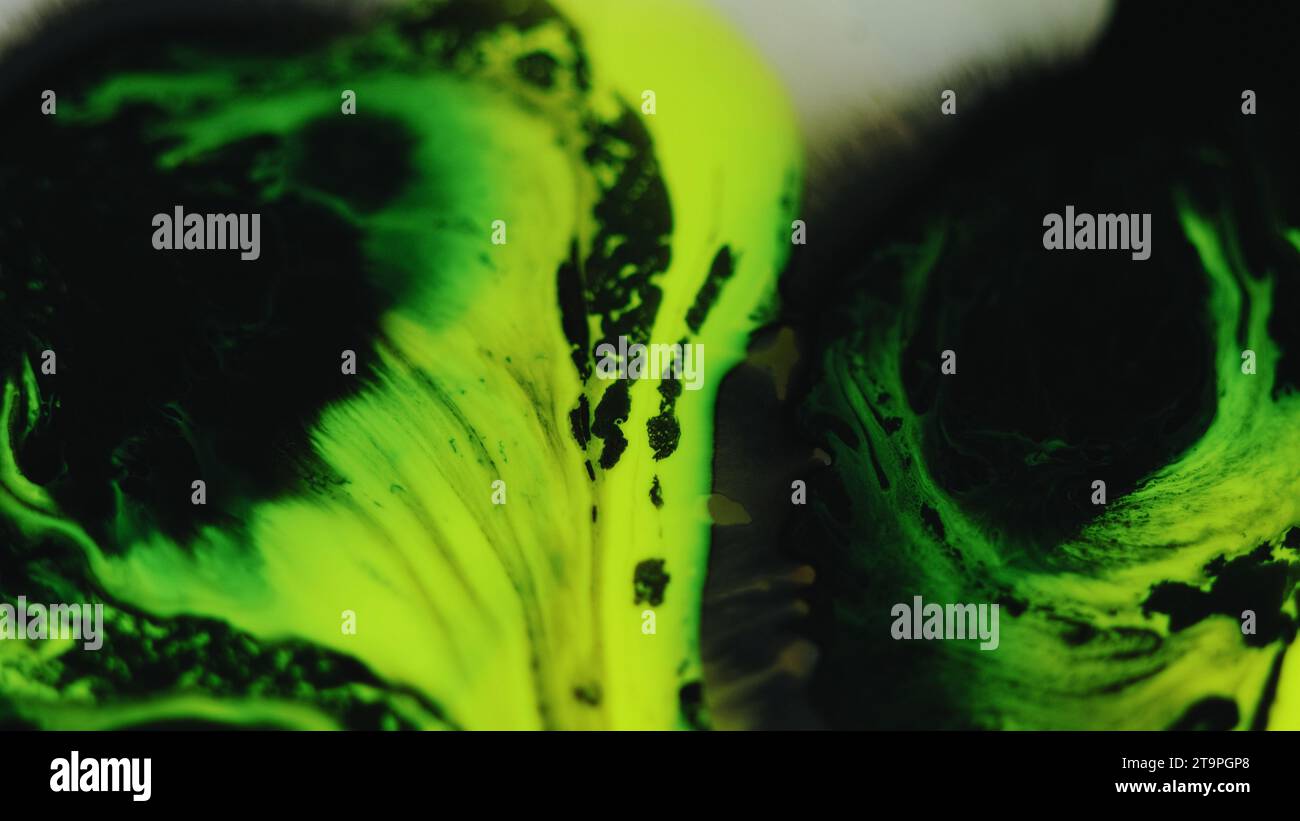 Paint flow ink blend wave neon green black fluid Stock Photo - Alamy