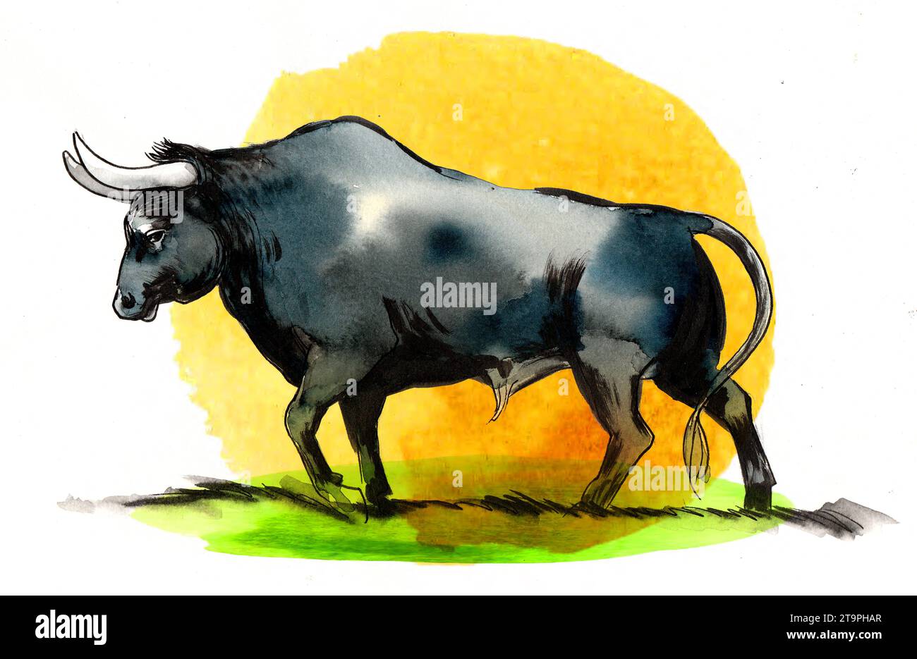 Black angus beef hand hi-res stock photography and images - Alamy