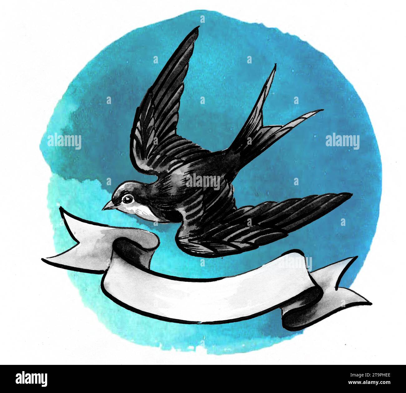 Hand drawn illustration drawing swallow hi-res stock photography and ...