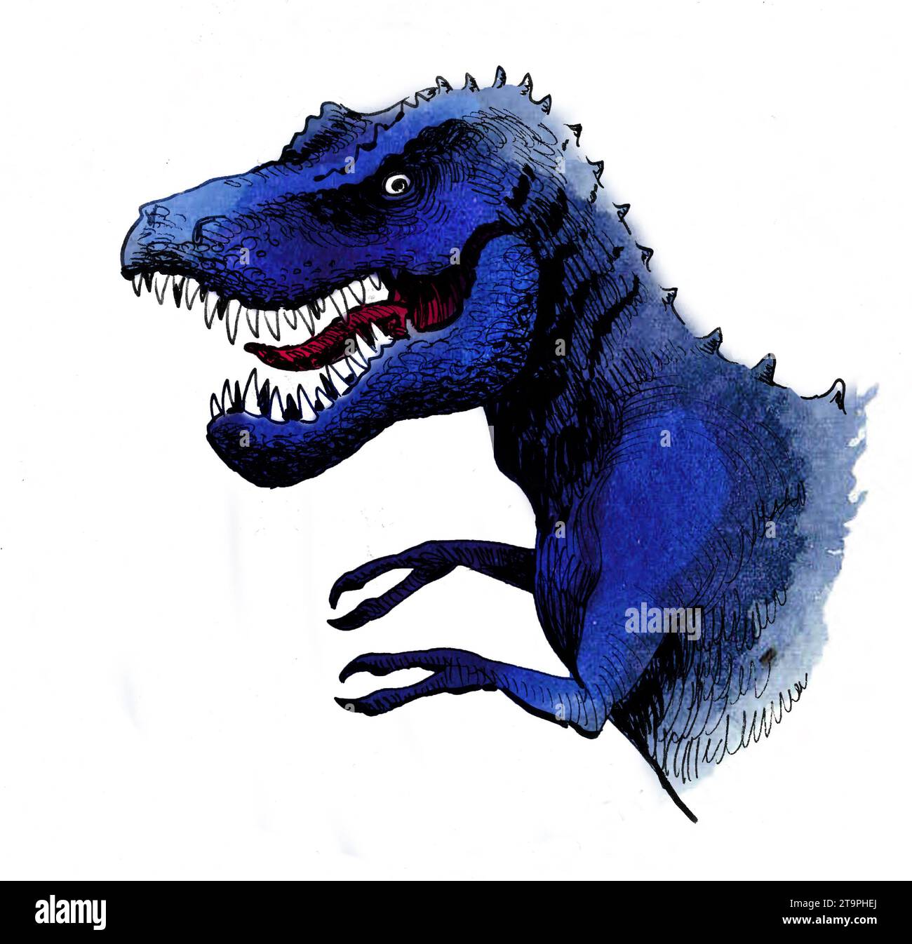 Tyrannosaurus Rex dinosaur. Hand-drawn ink and watercolor sketch Stock ...