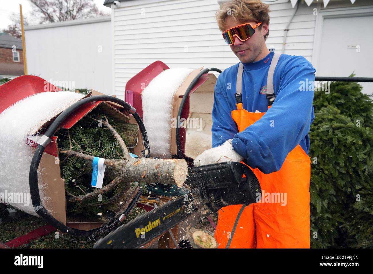 St. Louis, United States. 30th Nov, 2023. Worker Tyler Atkinson cuts ...