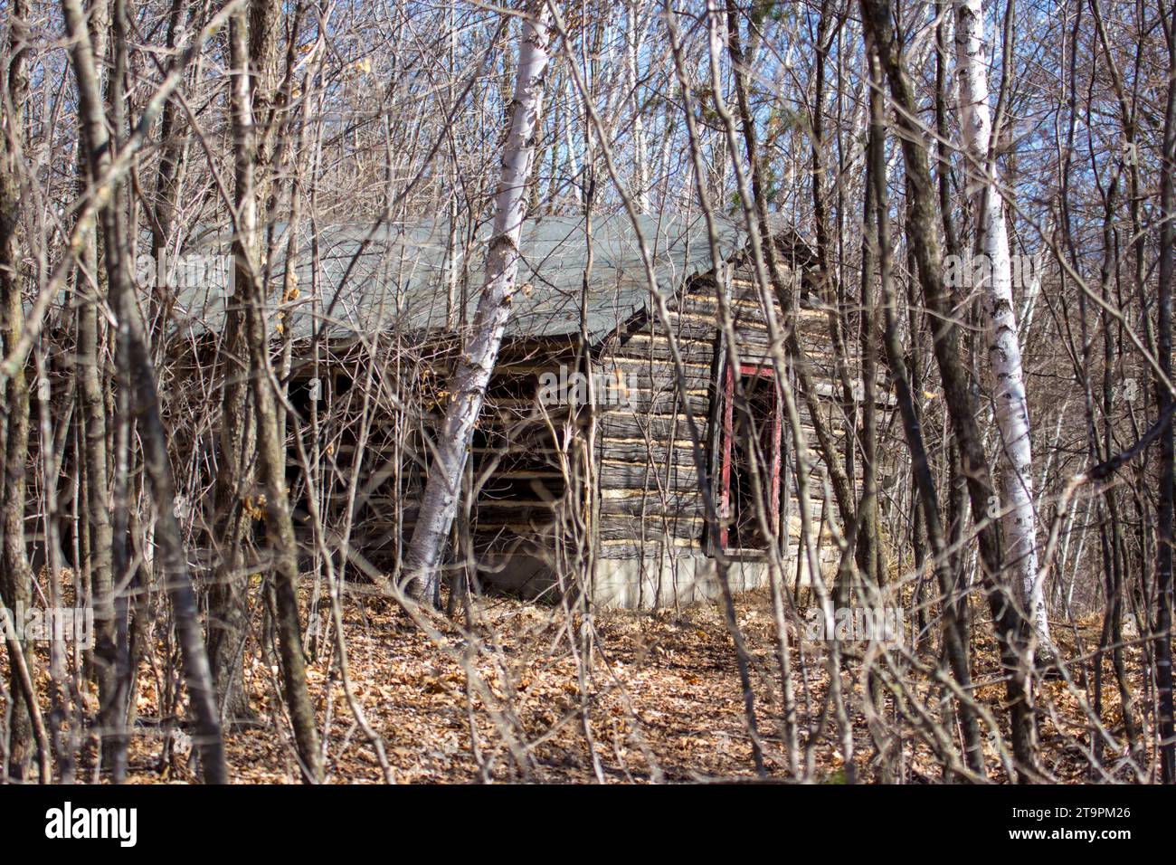 Trappers cabin hi-res stock photography and images - Alamy
