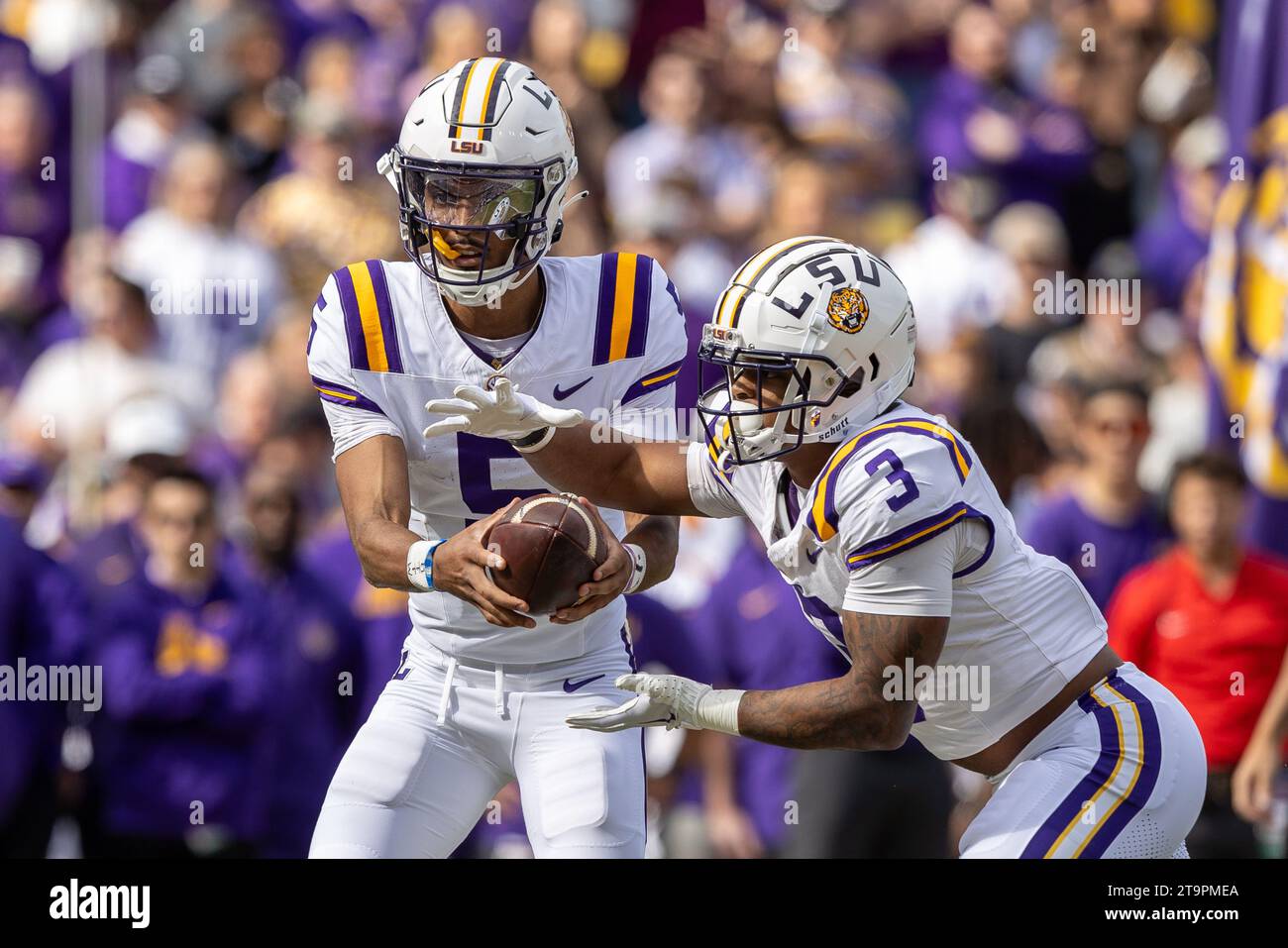 LSU Tigers quarterback Jayden Daniels (5) reads the defense as he hands ...