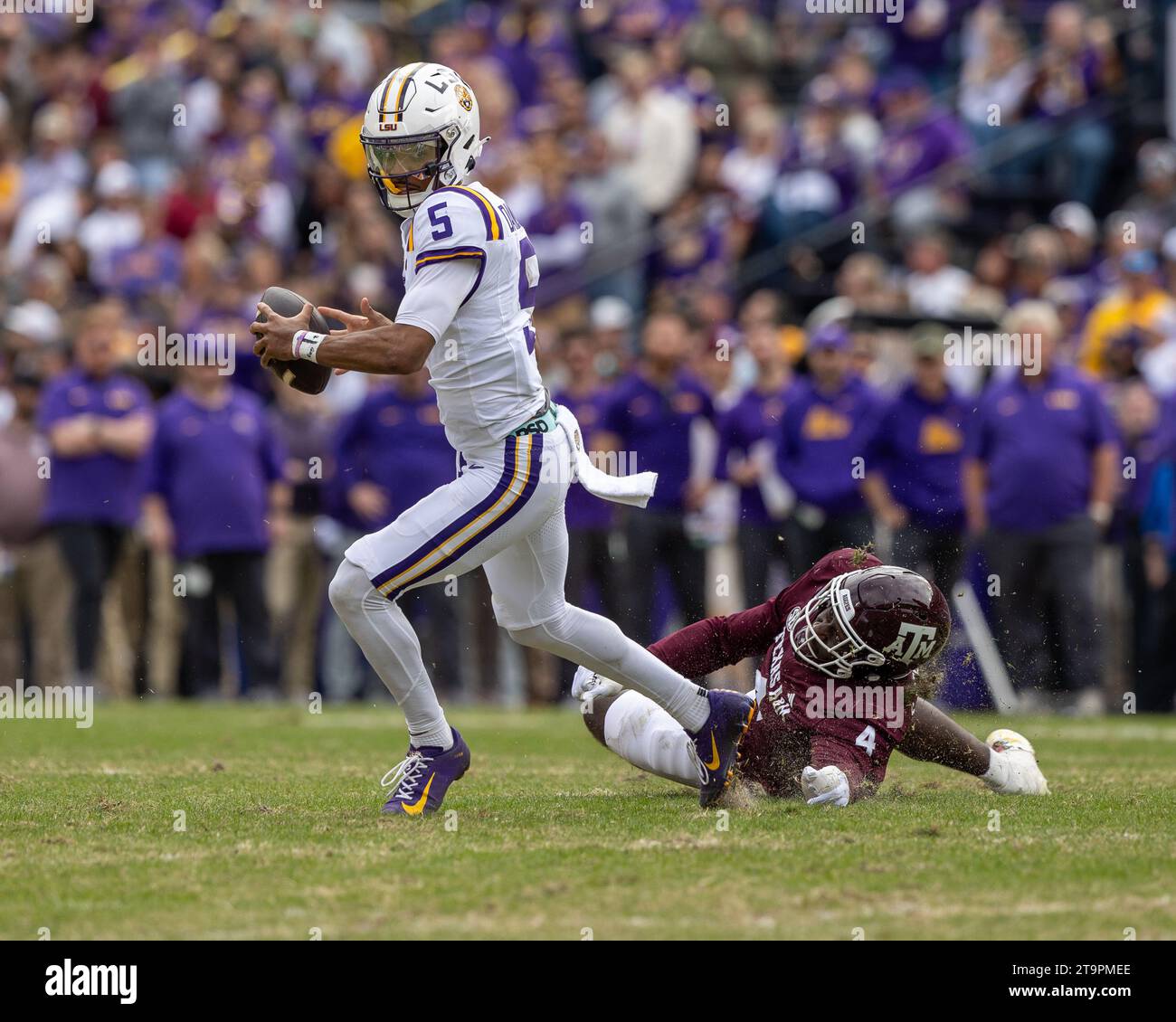 Shemar stewart hi-res stock photography and images - Alamy