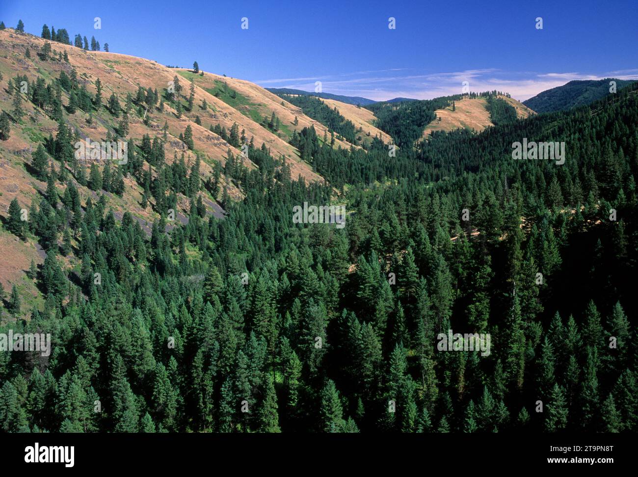 Minam River drainage view, Hells Canyon National Scenic Byway, Oregon ...