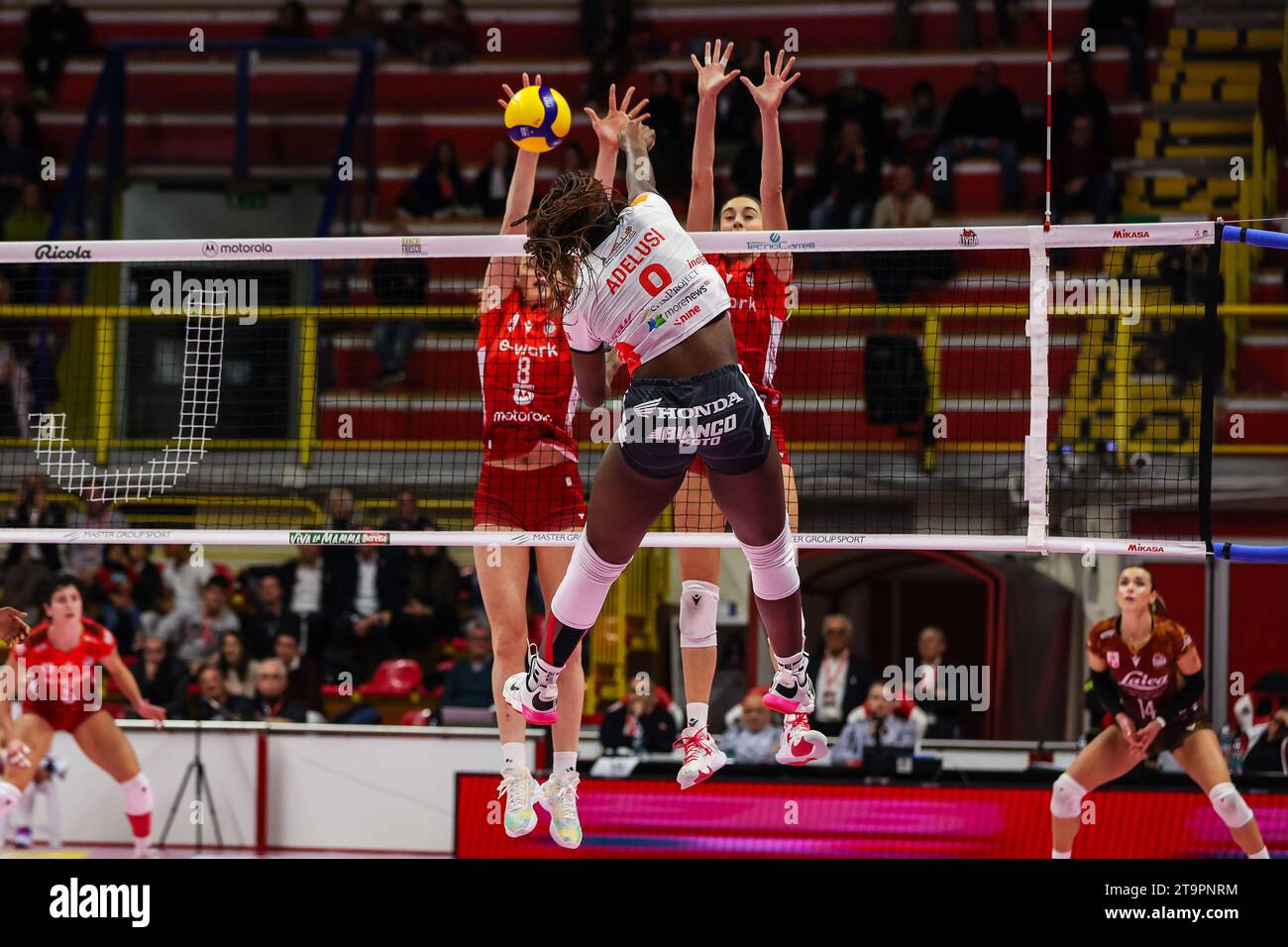 Anna adelusi hi-res stock photography and images - Alamy