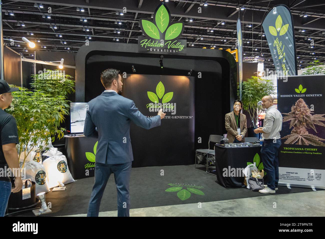 Cannabis genetics hi-res stock photography and images - Alamy