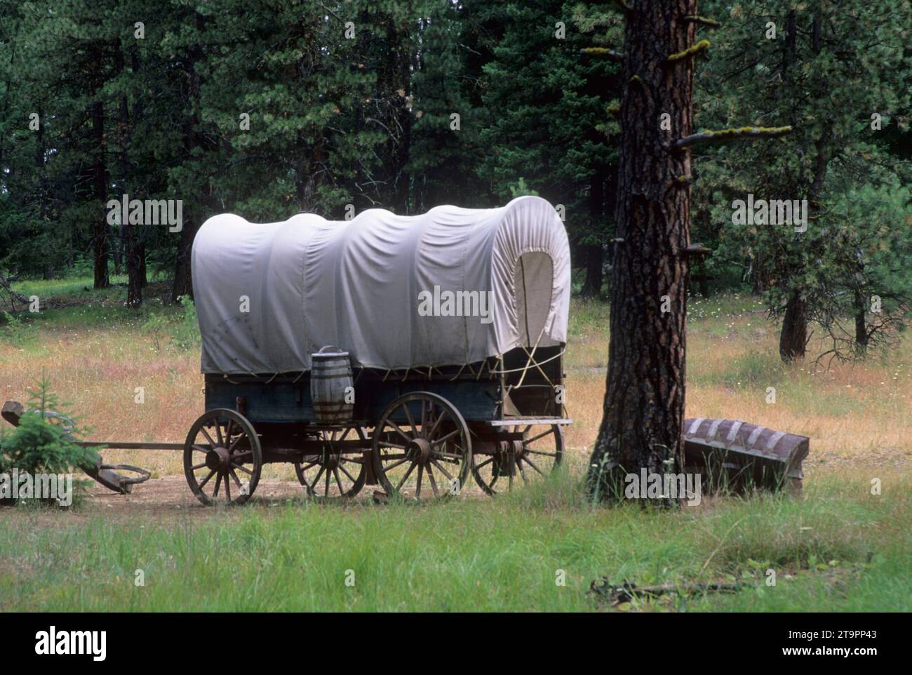 Covered wagon, Blue Mountain Crossing Interpretive Area, Oregon Trail ...