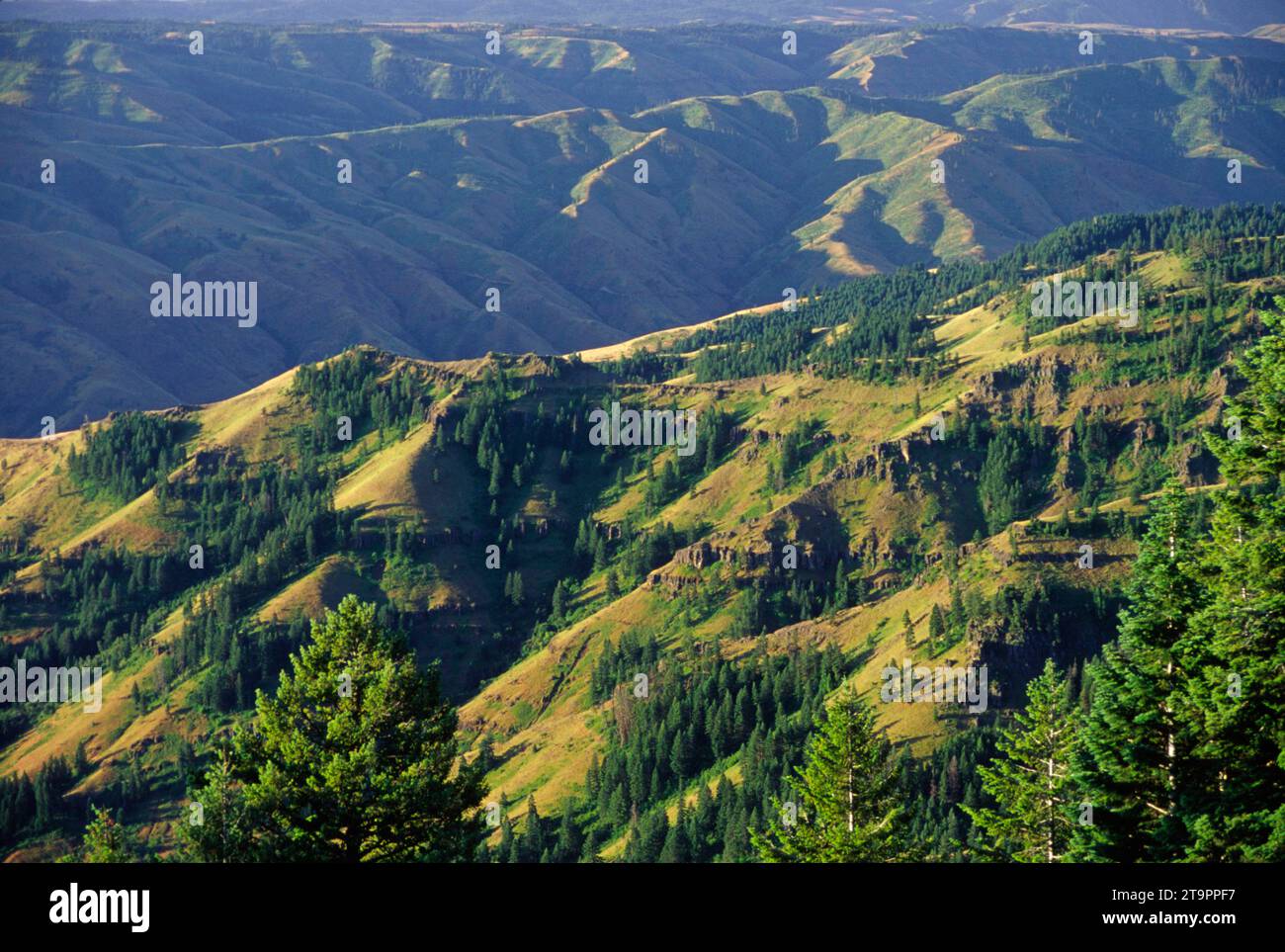 Hells Canyon Overlook view, Hells Canyon National Recreation Area ... Hells Canyon Overlook view, Hells Canyon National Recreation Area ...