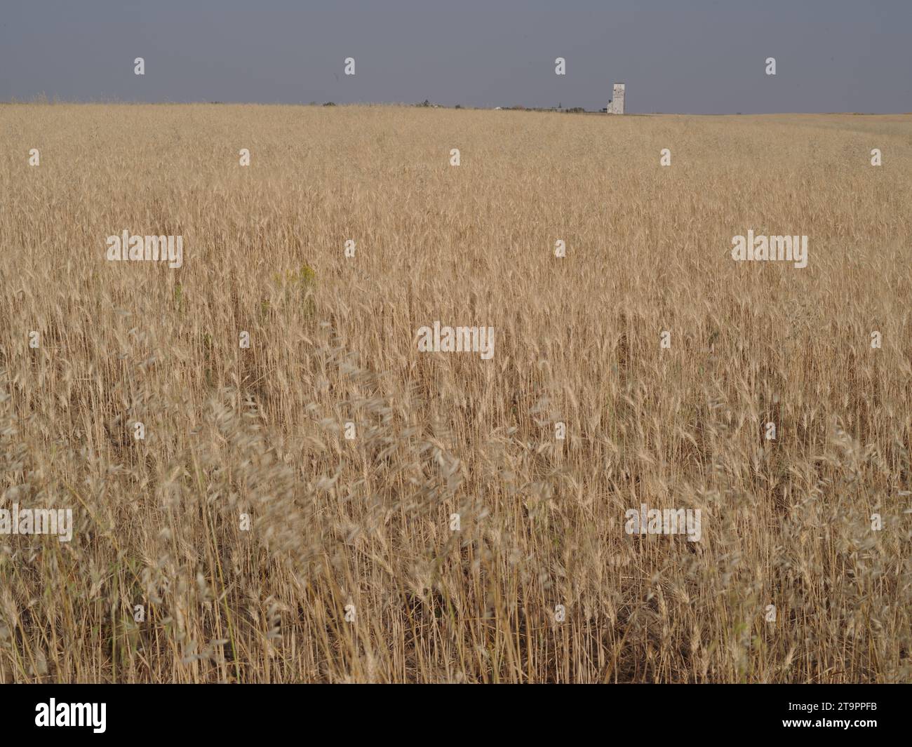 Abandoned Grain Elevator - Orkney, Saskatchewan, Canada Stock Photo - Alamy Abandoned Grain Elevator - Orkney, Saskatchewan, Canada Stock Photo - Alamy