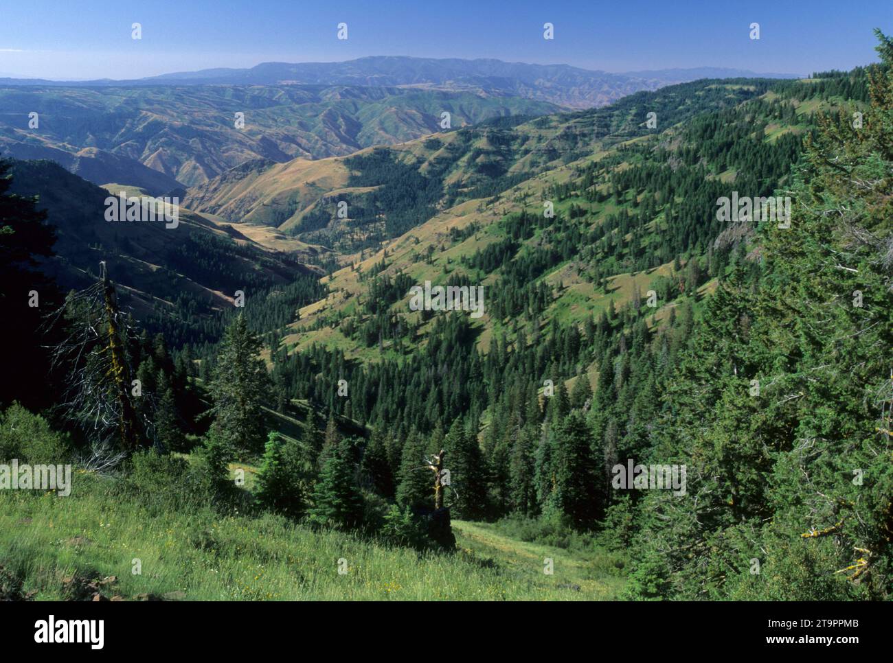 Mcgraw creek canyon from summit ridge hi-res stock photography and ...