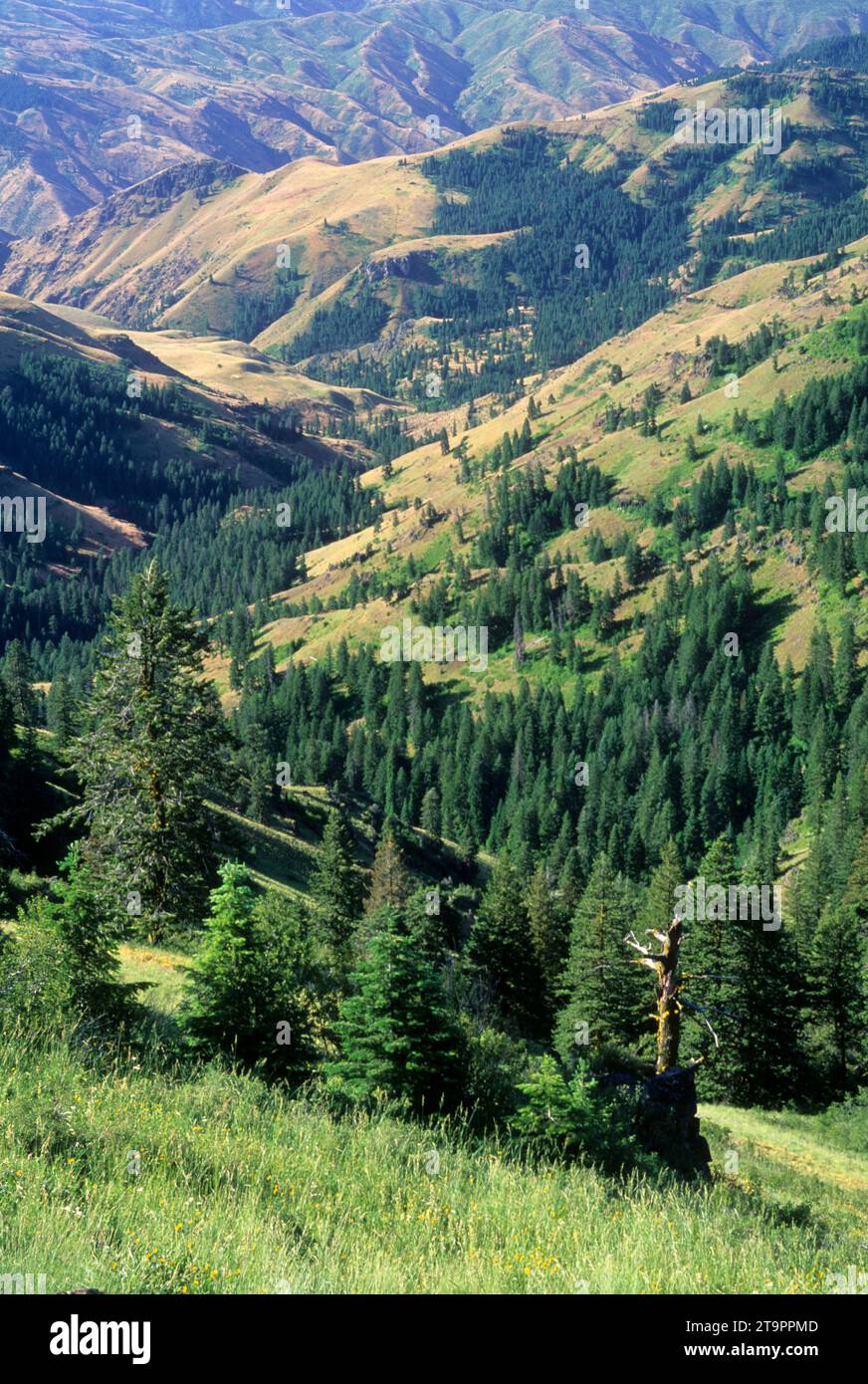 Mcgraw creek canyon from summit ridge hi-res stock photography and ...