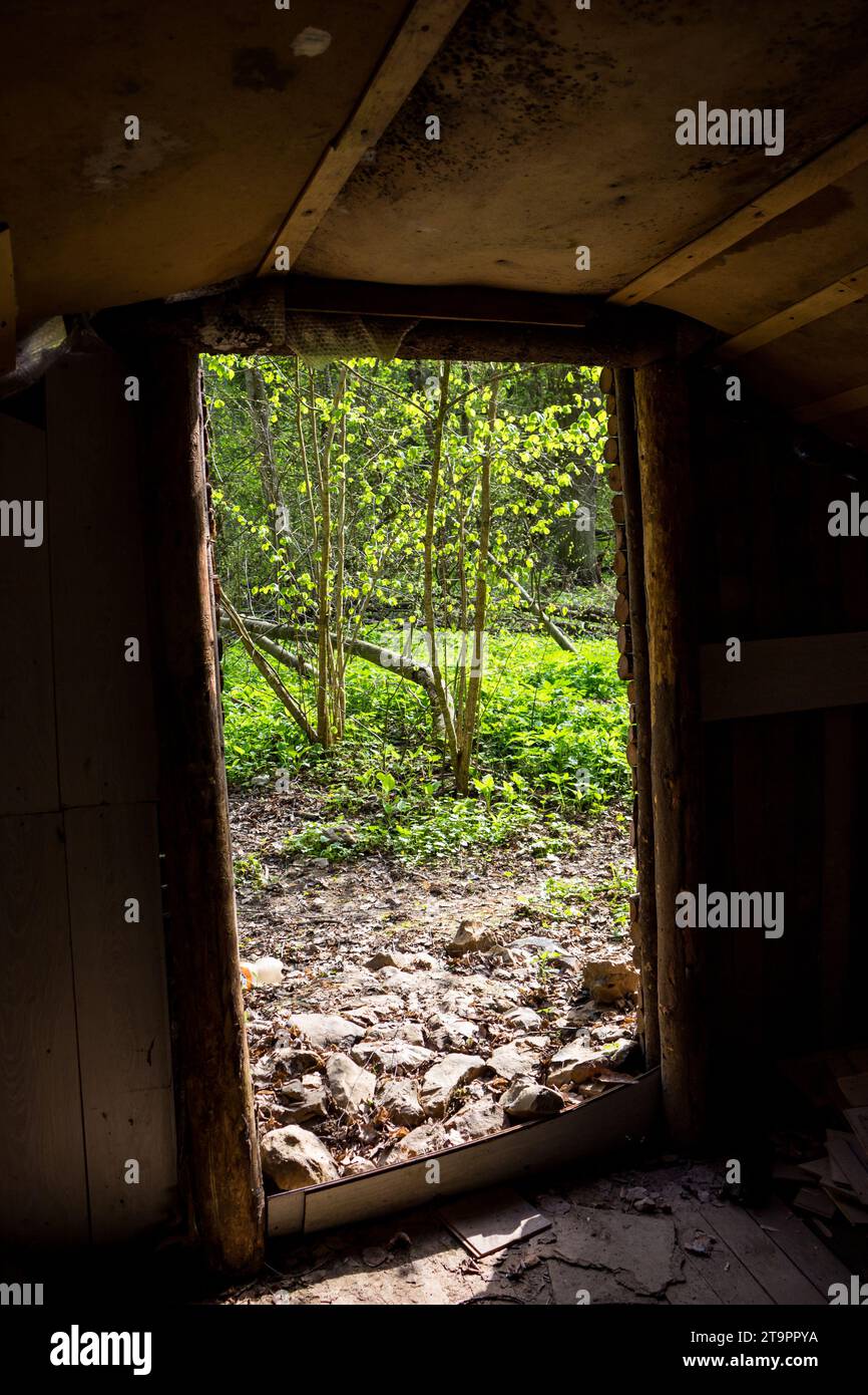 Dugout exit hi-res stock photography and images - Alamy
