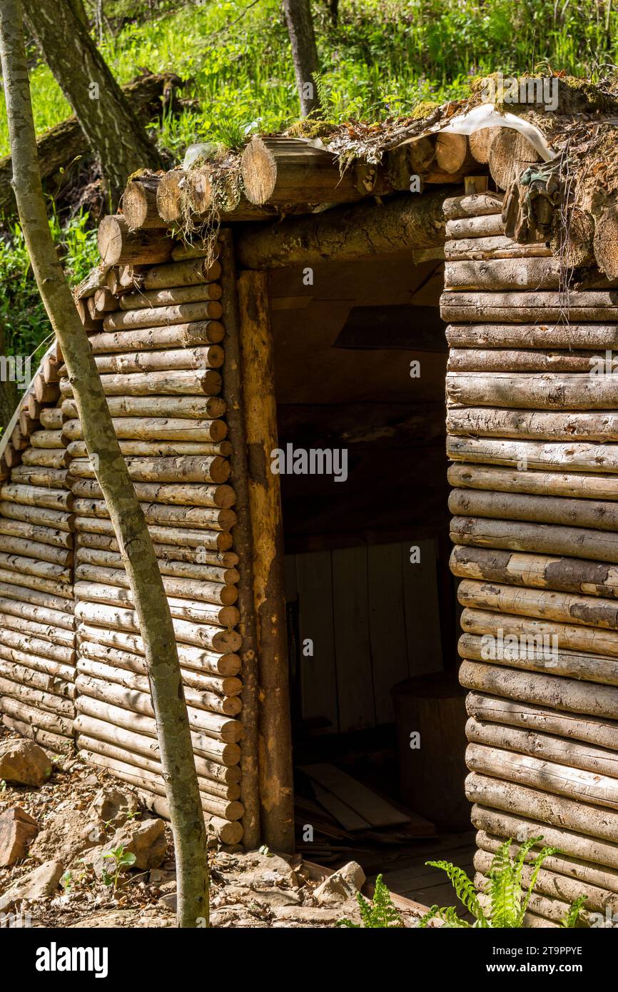 Homemade forest dugout built from logs and branches in the wilderness ...