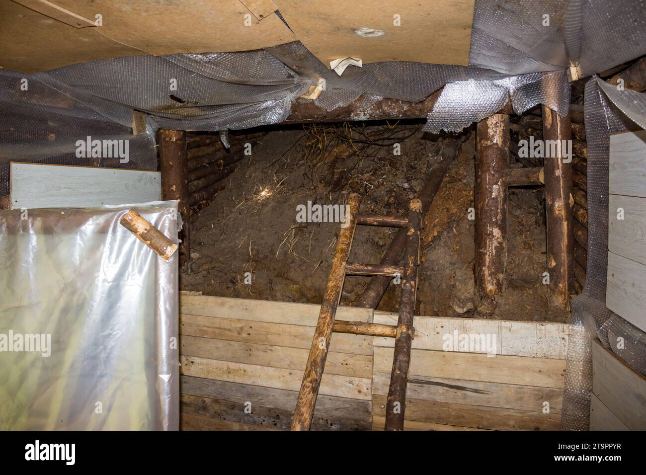 Hut inside forest hi-res stock photography and images - Alamy