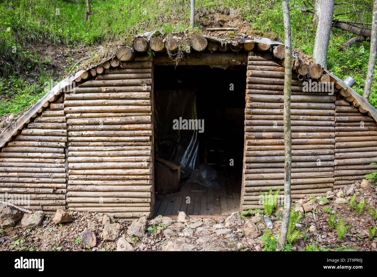 Living into the forest hi-res stock photography and images - Alamy