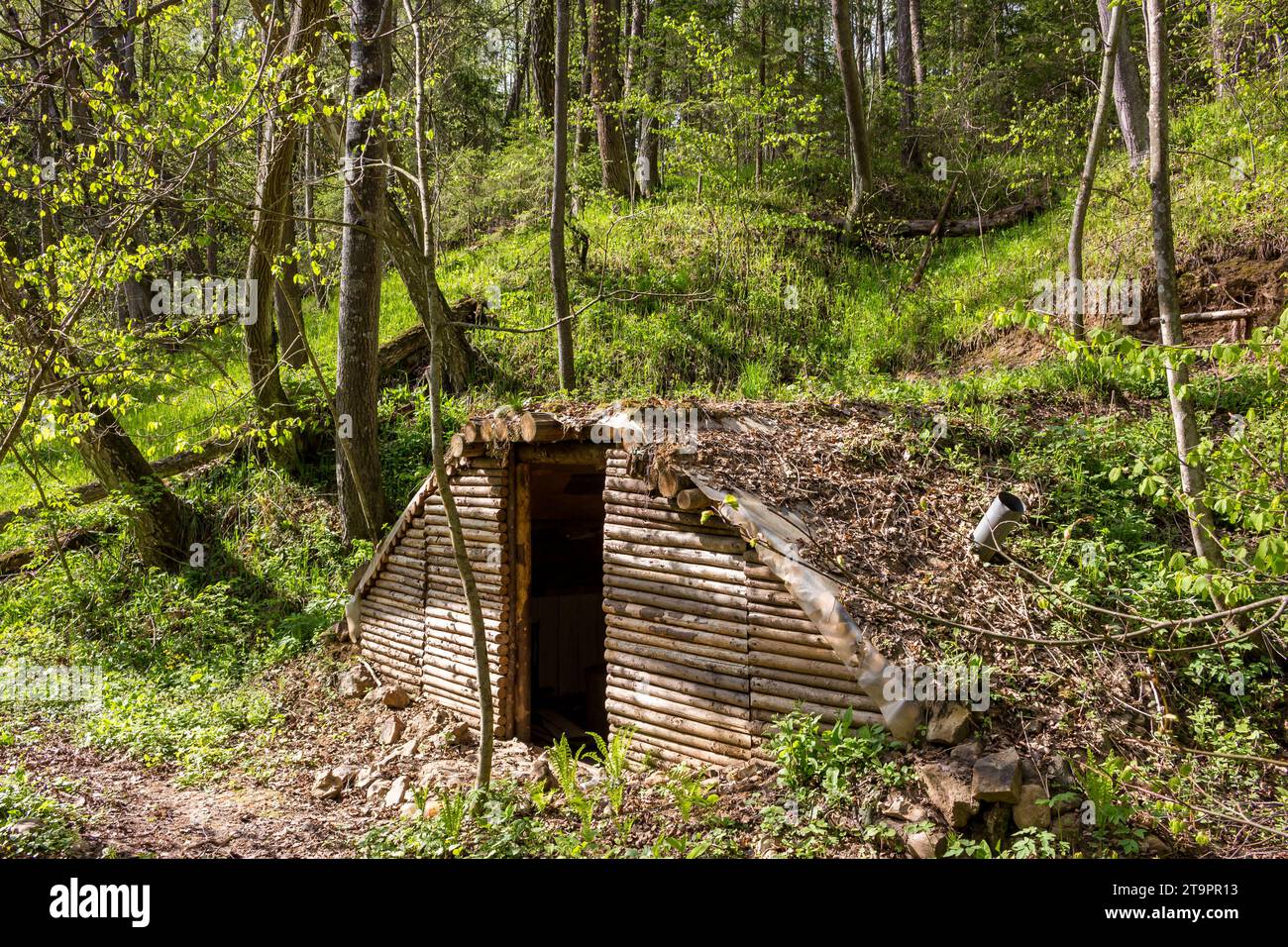 Forest dugout built from logs and branches. Wilderness Survival Stock ...