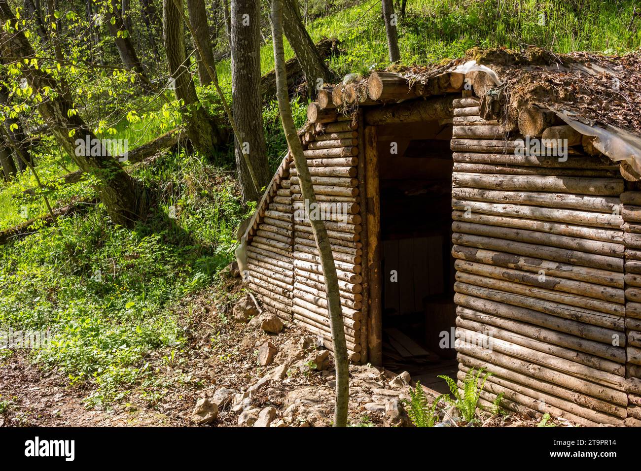 Wild taiga hut hi-res stock photography and images - Alamy