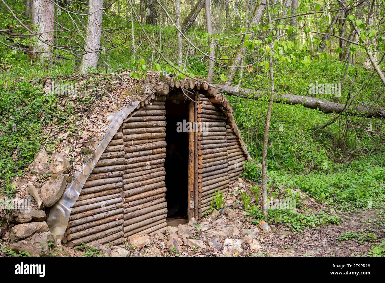 Forest hut built for living in the forest during a hike Stock Photo - Alamy
