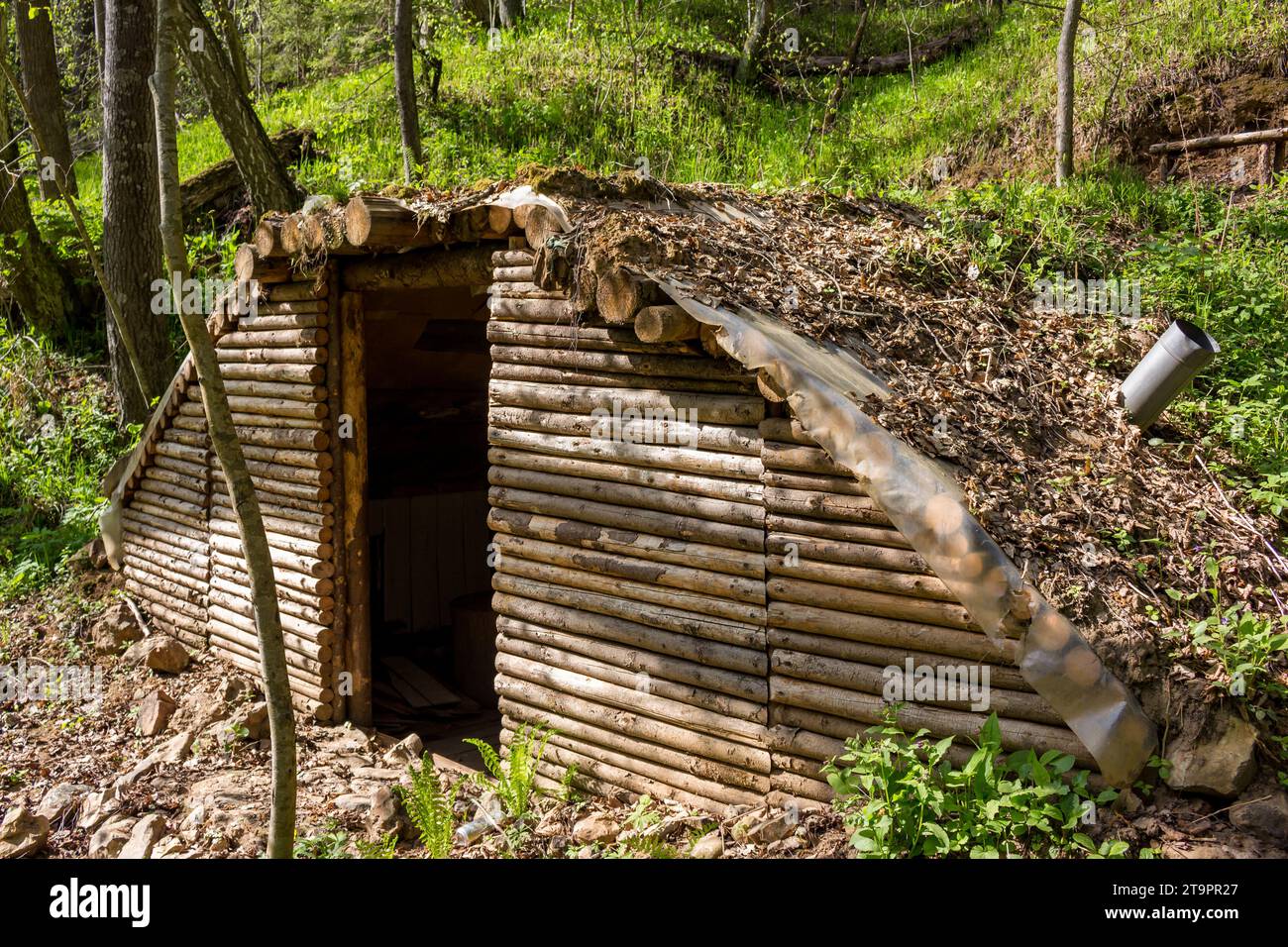 Forest dugout built from logs and branches. Wilderness Survival Stock ...