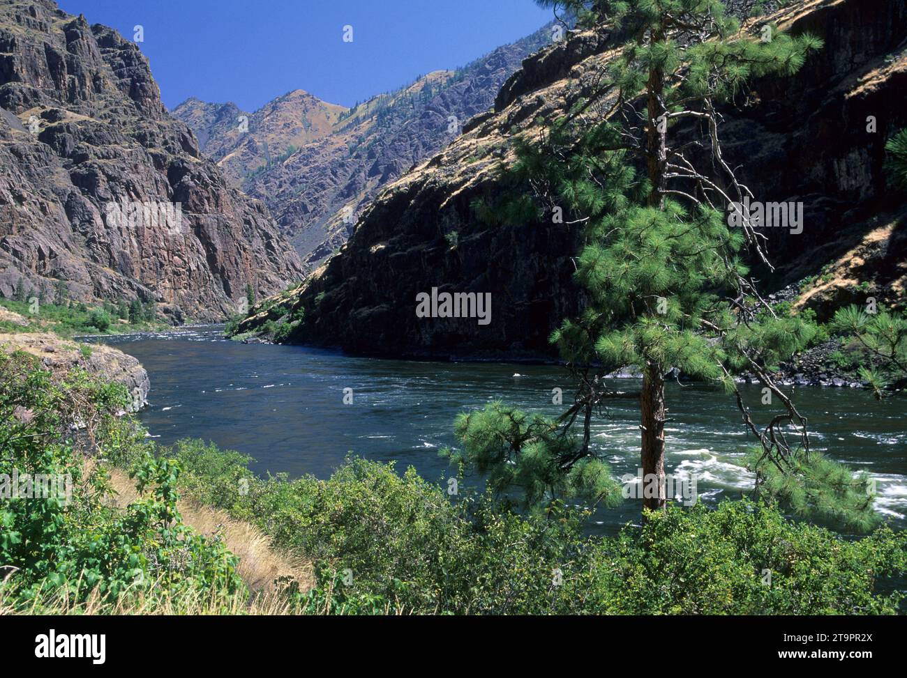 Snake River from Stud Creek Trail, Snake Wild & Scenic River, Hells ...