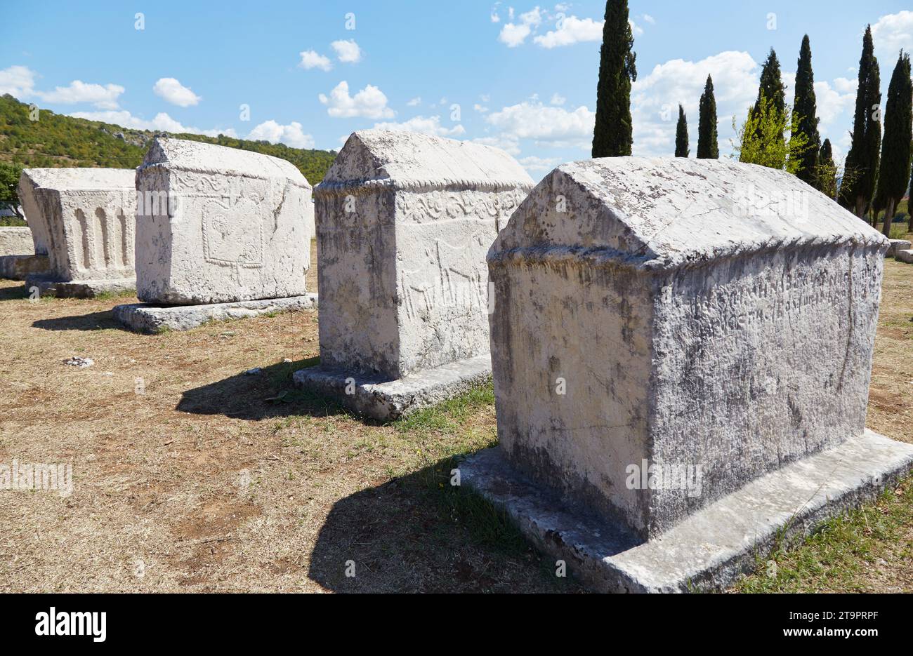 The Radimlja Necropolis is home to 135 unique stecci tombstones dating ...