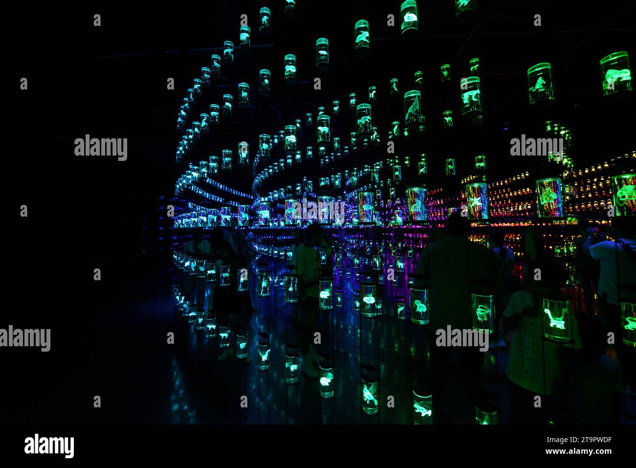 The Library at the HEAL Institute exhibition at the Museum of the ...