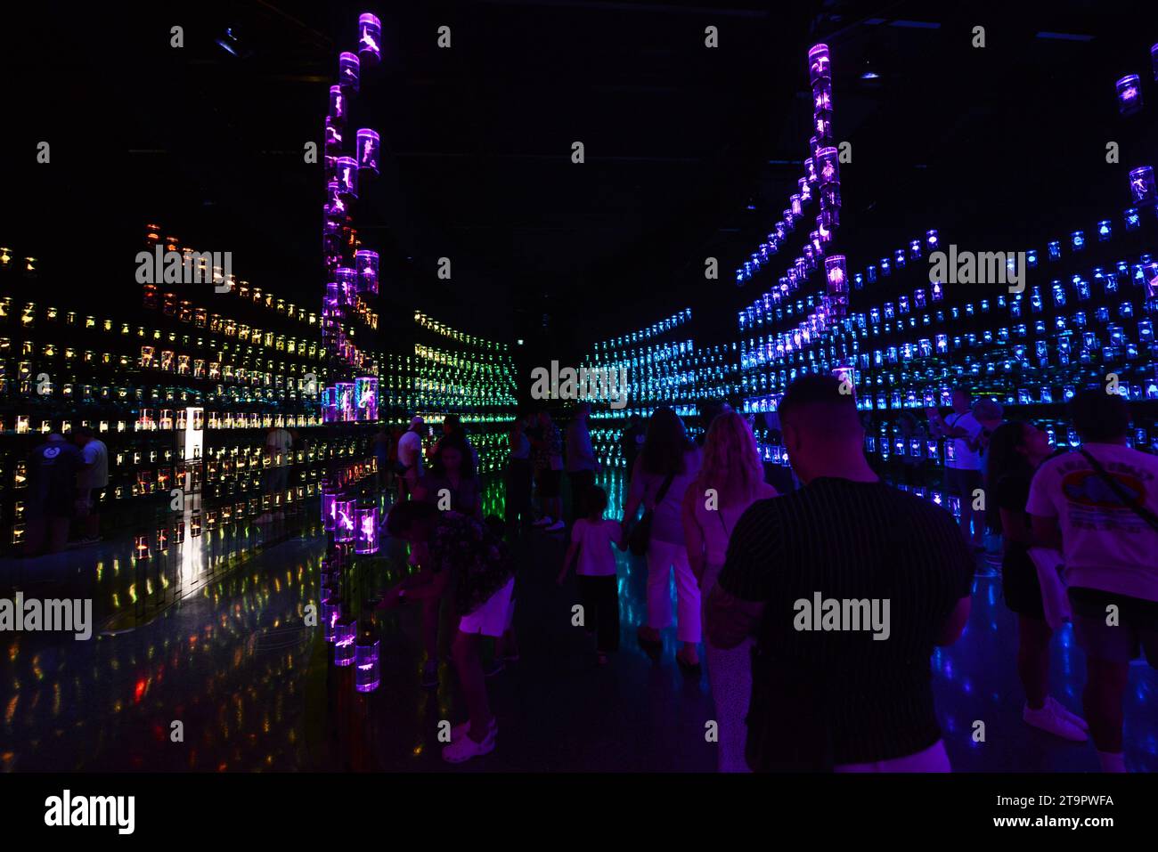 The Library at the HEAL Institute exhibition at the Museum of the ...