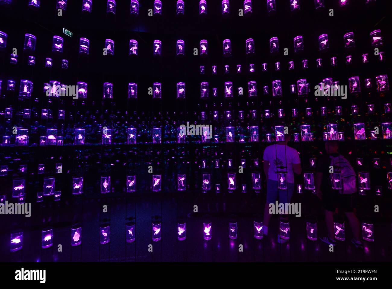 The Library at the HEAL Institute exhibition at the Museum of the ...