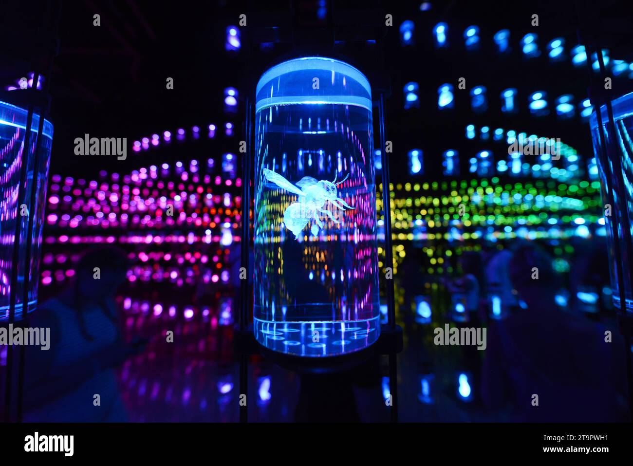 The Library at the HEAL Institute exhibition at the Museum of the ...