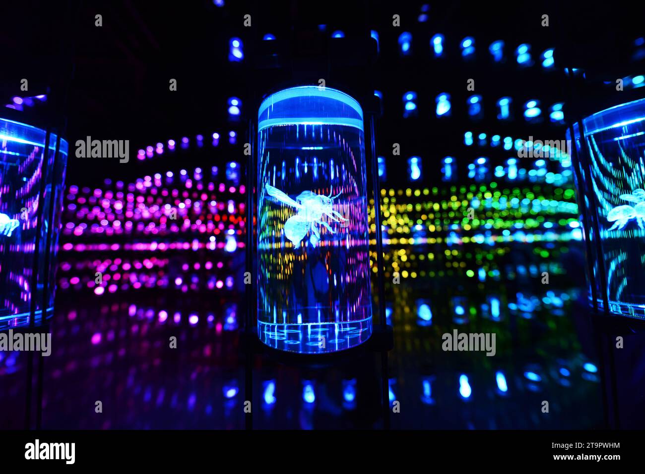 The Library at the HEAL Institute exhibition at the Museum of the ...