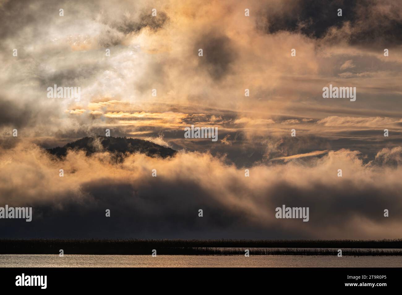 Morning dawn at foggy lake Stock Photo - Alamy