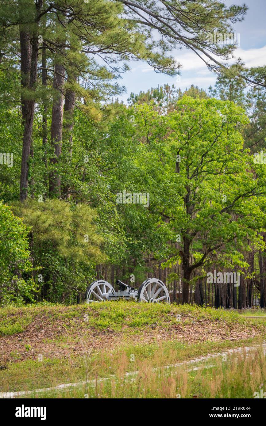 Cannon at Moores Creek National Battlefield, NPS Site Stock Photo - Alamy