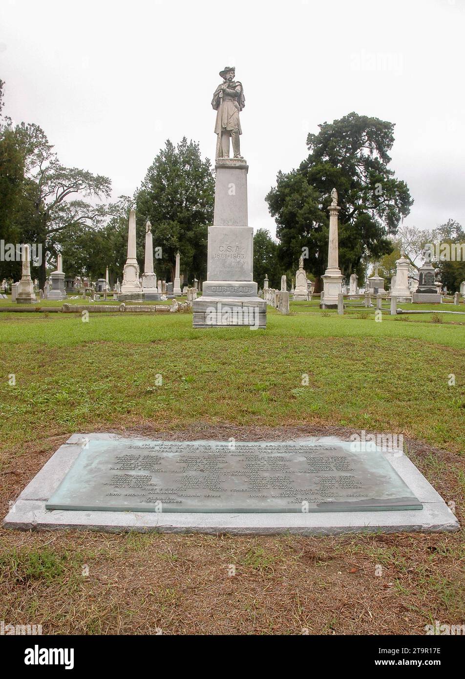 The Cedar Grove Cemetery, New Bern, North Carolina Stock Photo - Alamy