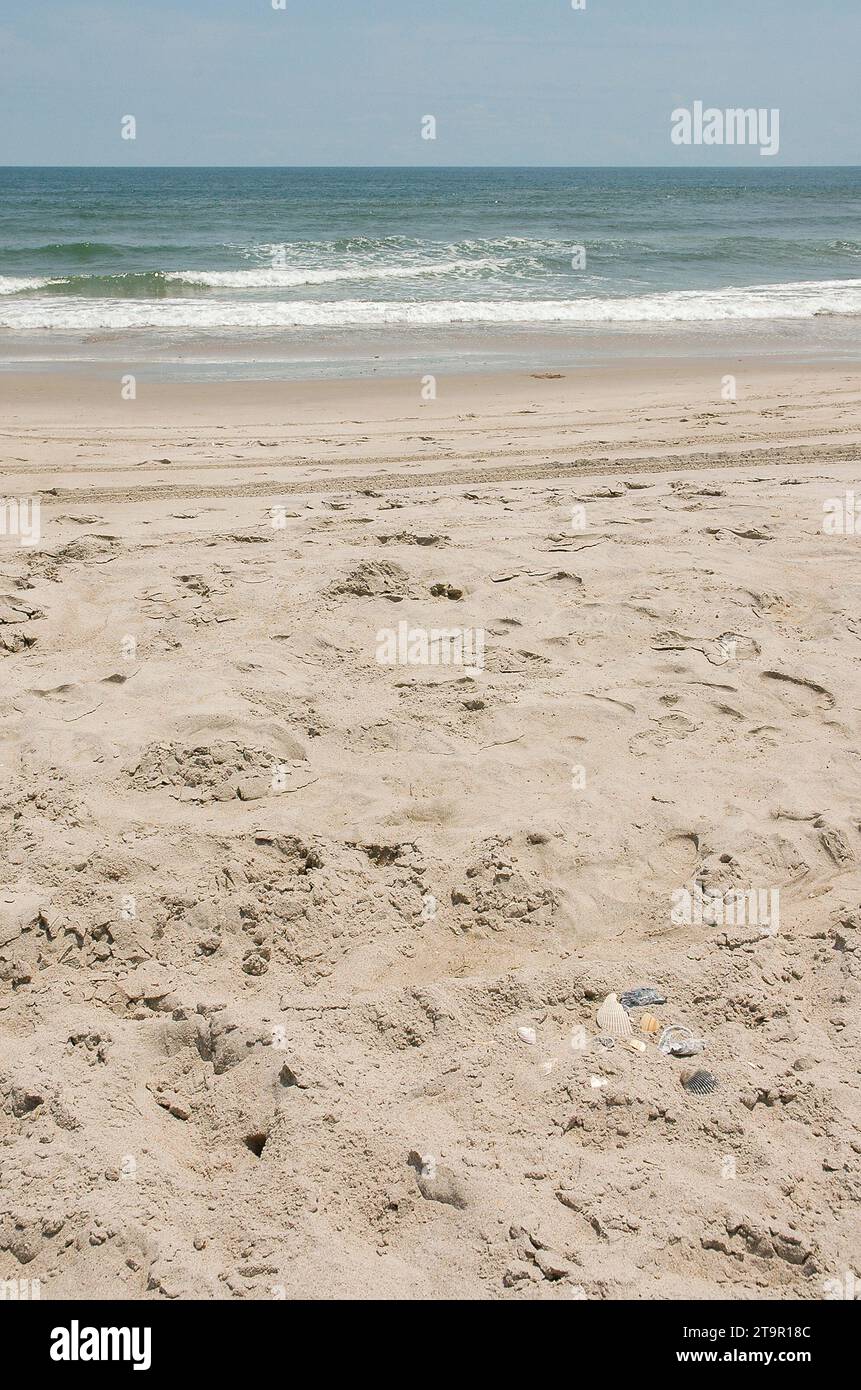 Some Sand and Sea Shells at the Outer Banks Island in North Carolina ...