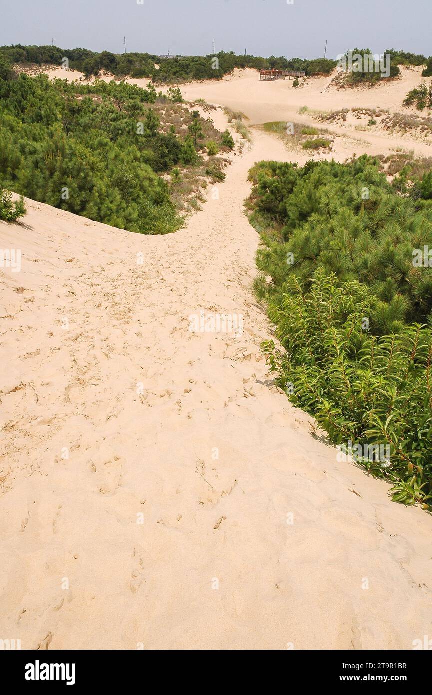 Jockey's Ridge State Park in North Carolina Stock Photo - Alamy