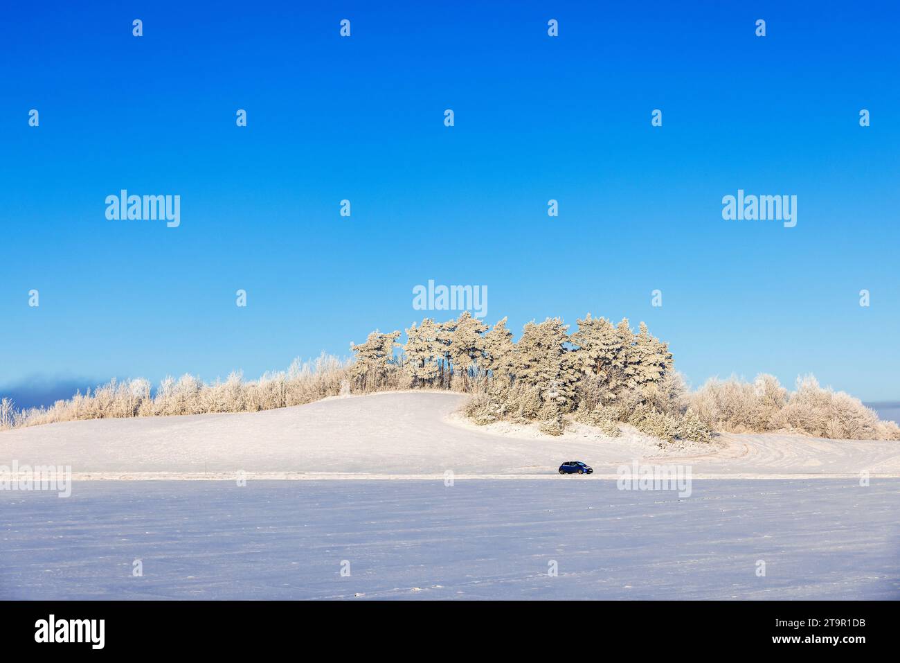 Car driving in a wintry rural landscape Stock Photo - Alamy