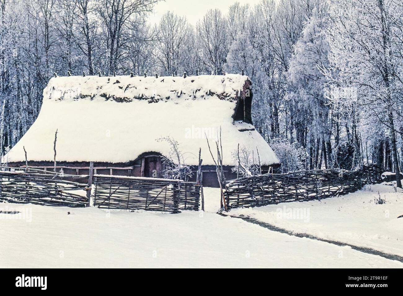 Path to a longhouse with in a snowy landscape by the forest Stock Photo ...