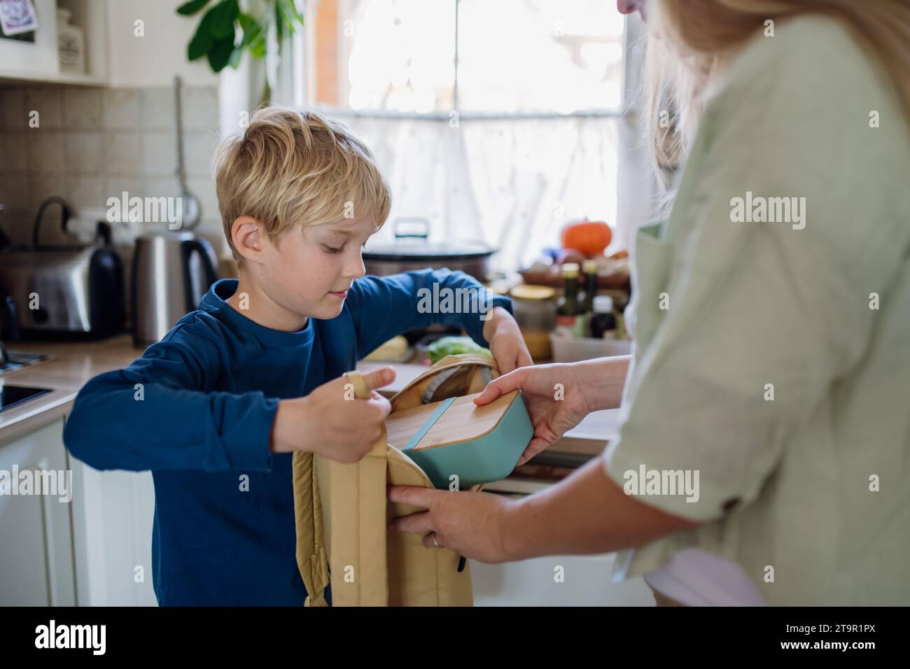 Mom packing snack for her son for school. Putting lunch box with ...