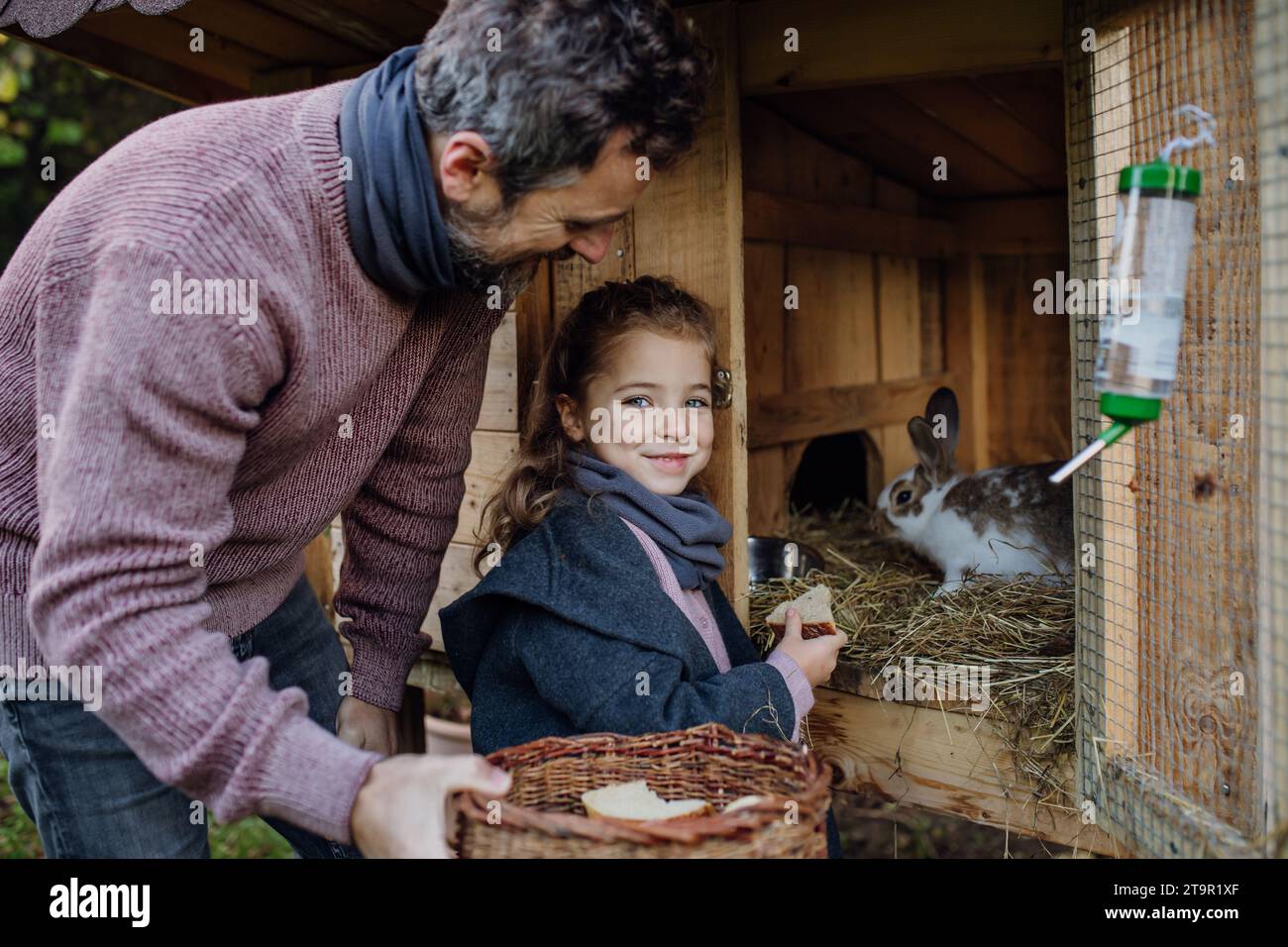 Girl and father feeding pet rabbit, giving it vegetables from the ...