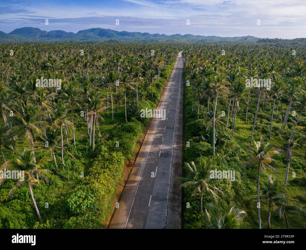 A scenic view of Coconut Road, Siargao, Philippines Stock Photo - Alamy