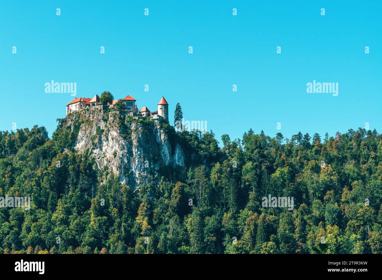 Bled castle, the oldest castle in Slovenia and one of its most famous ...