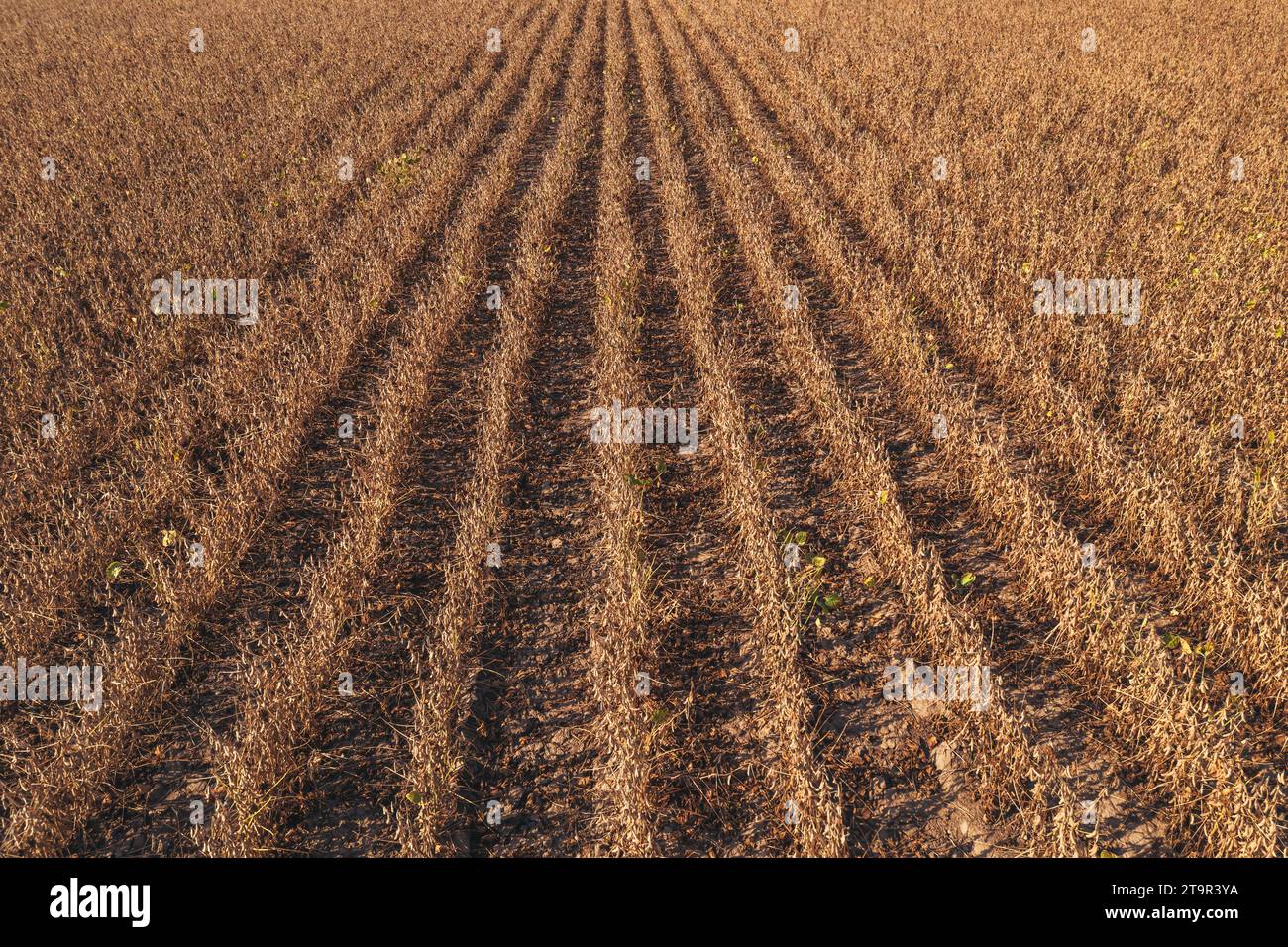 Aerial perspective photography hi-res stock photography and images - Alamy