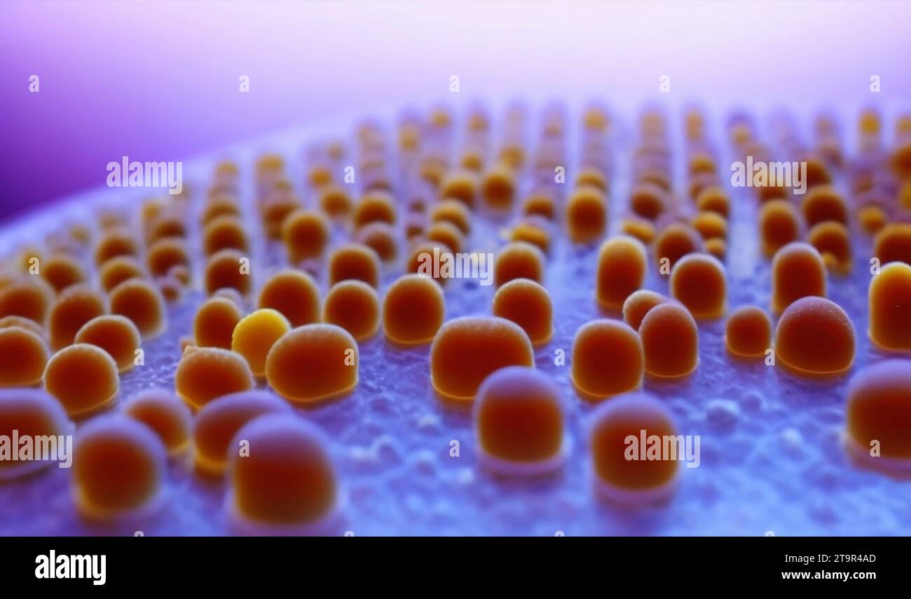 cell life, abstract scientific illustration Stock Photo - Alamy