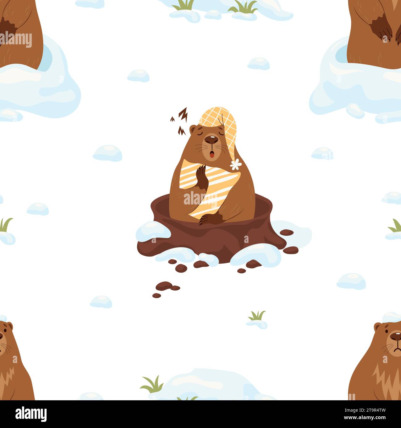 Seamless pattern with groundhog. Sleeping marmot with pillow and sad ...