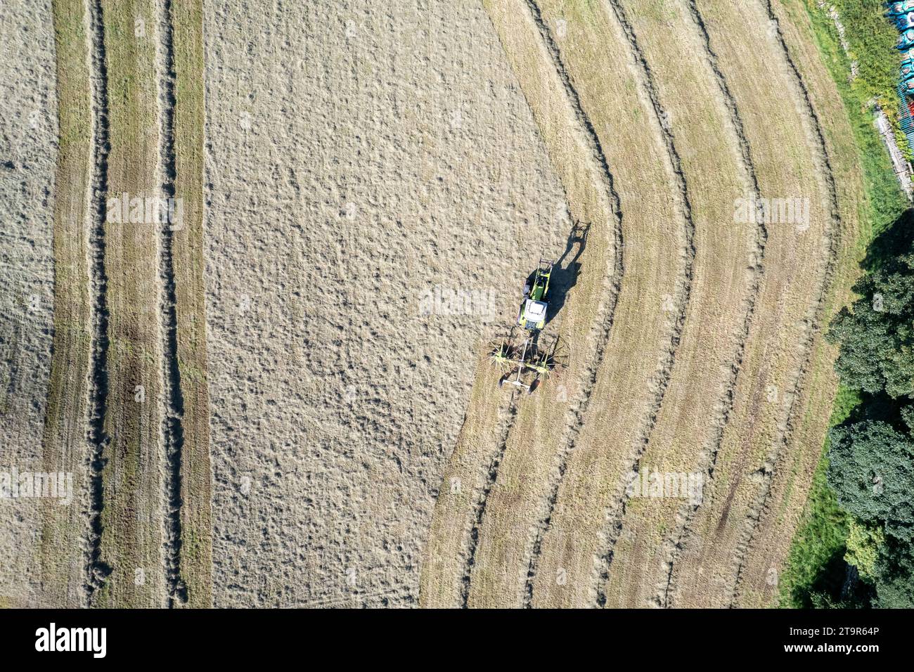 Farmer rowing up meadow of hay ready to bale. Yorkshire Dales, UK Stock ...